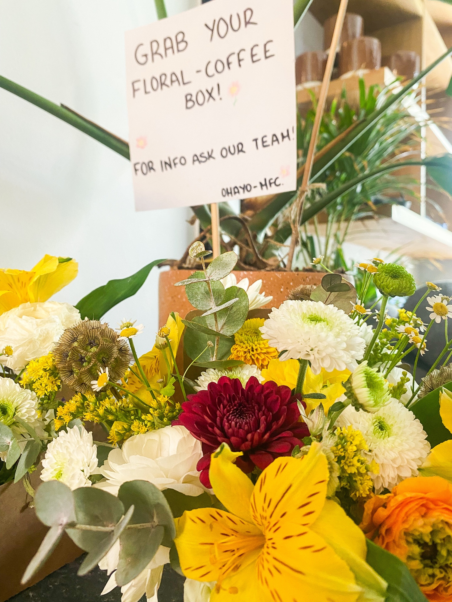 Ohayo tea house: Ο «μυστικός κήπος» της Δάφνης όπου το τσάι σερβίρεται ...