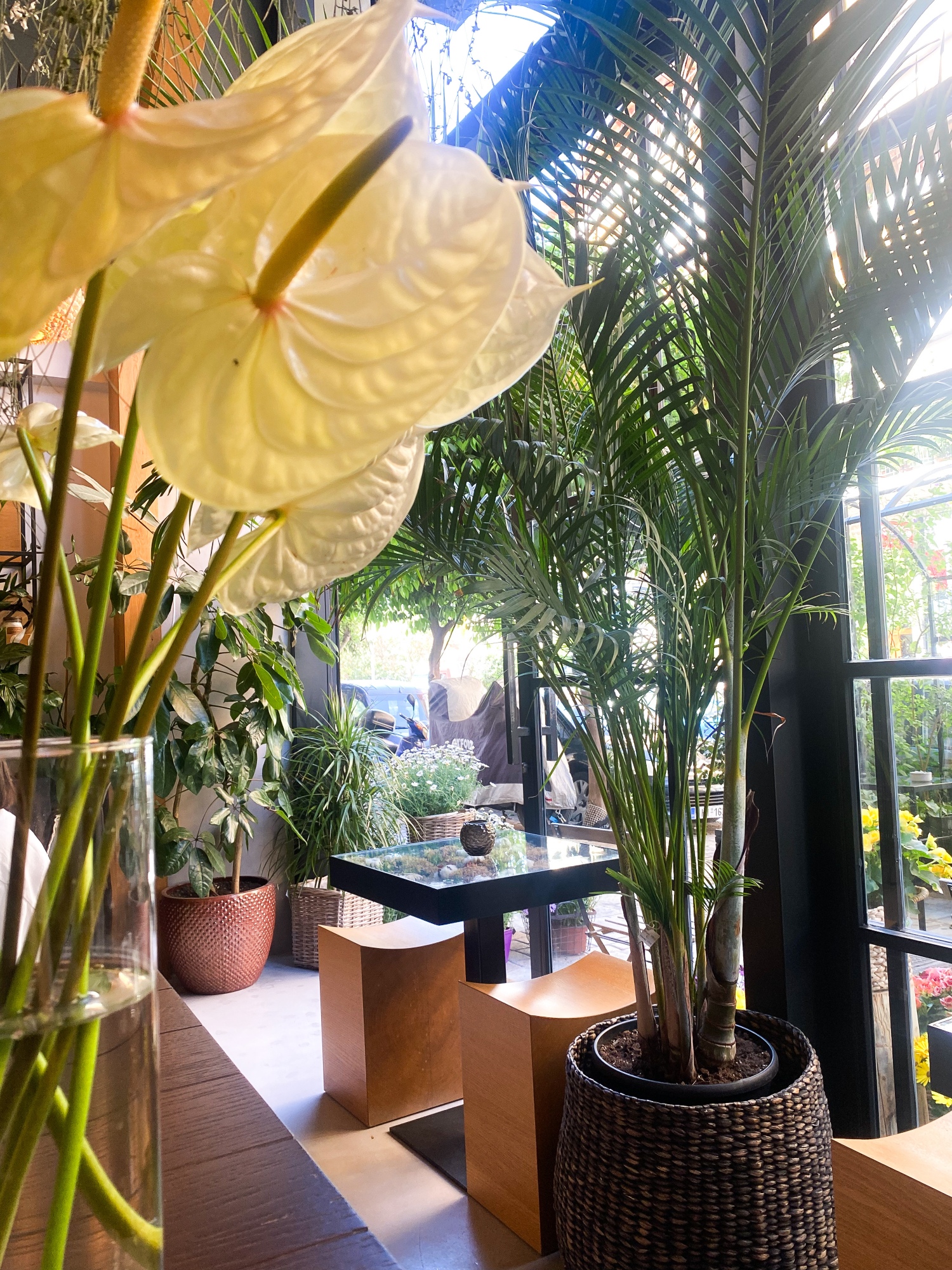 Ohayo tea house: Ο «μυστικός κήπος» της Δάφνης όπου το τσάι σερβίρεται ...