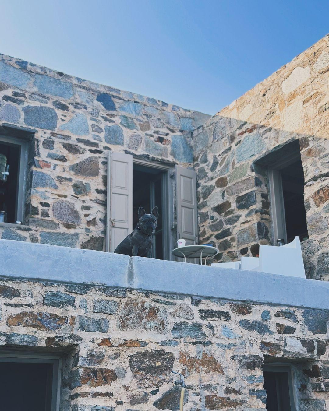 H Δανάη Μπάρκα με το ολόσωμο μαγιό της κάνει κατακόρυφο, με φόντο τη ...