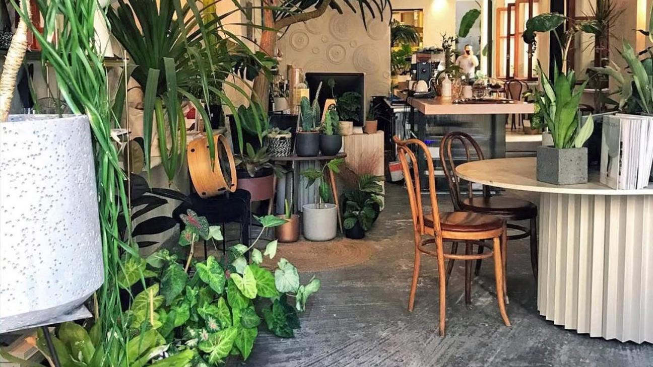 Minu: Το κρυμμένο καφέ με ολάνθιστο κήπο στου Ψυρρή που μυρίζει άνοιξη ...