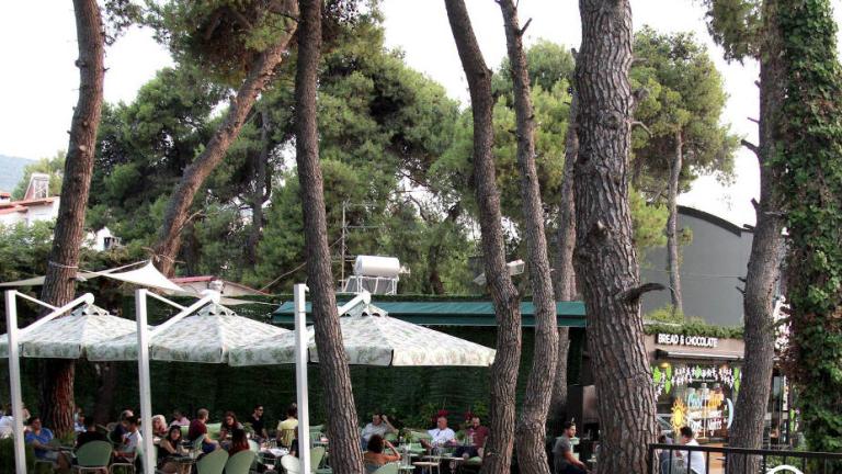 Troufa Bread & Chocolate: Ο φούρνος-patisserie-café στη Δροσιά είναι ...